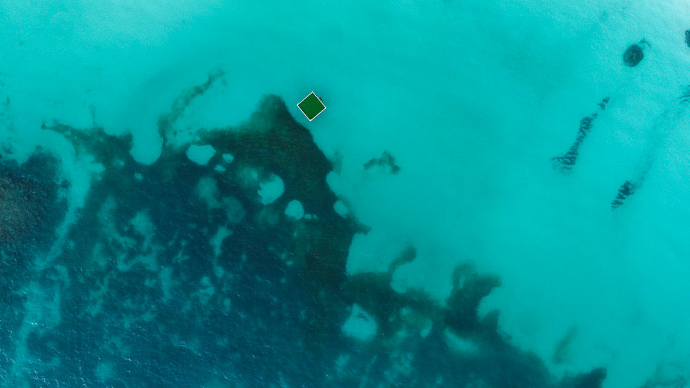 The Green Raft – Penny Ashford Water Photography